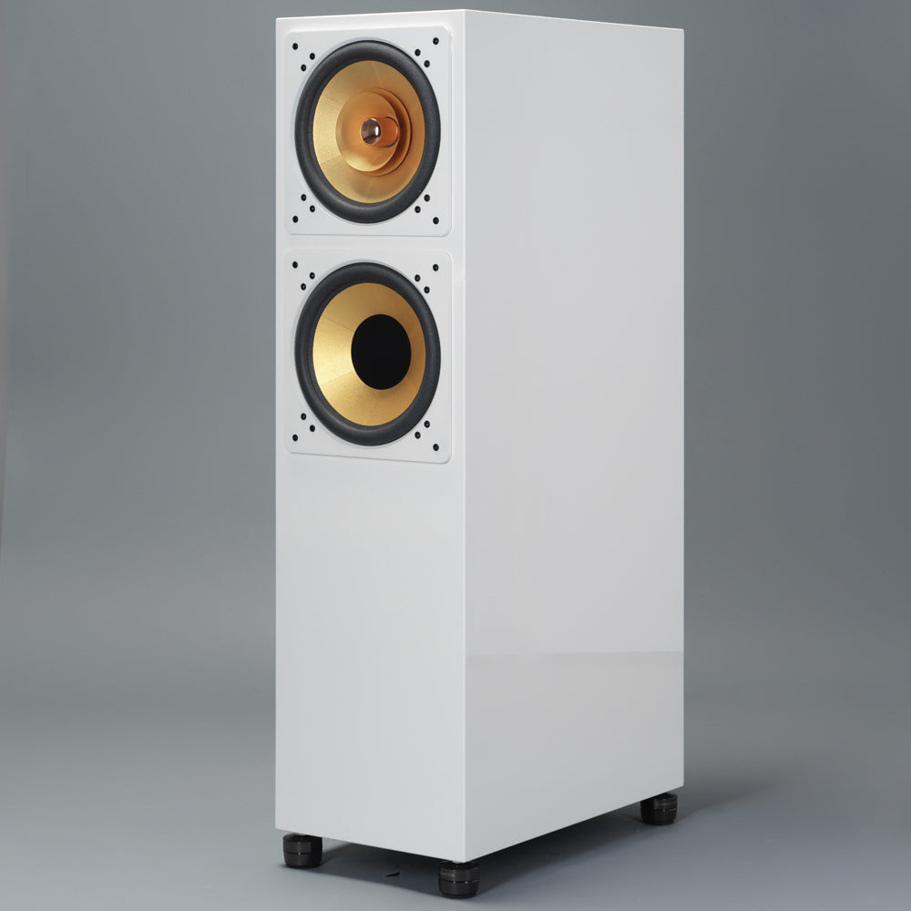 Cube Audio Lotus 10 | Holburn Online